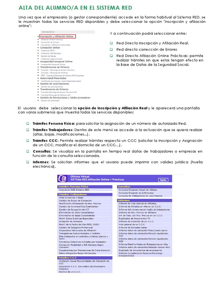 Explicación Sistema Red Alta | PDF