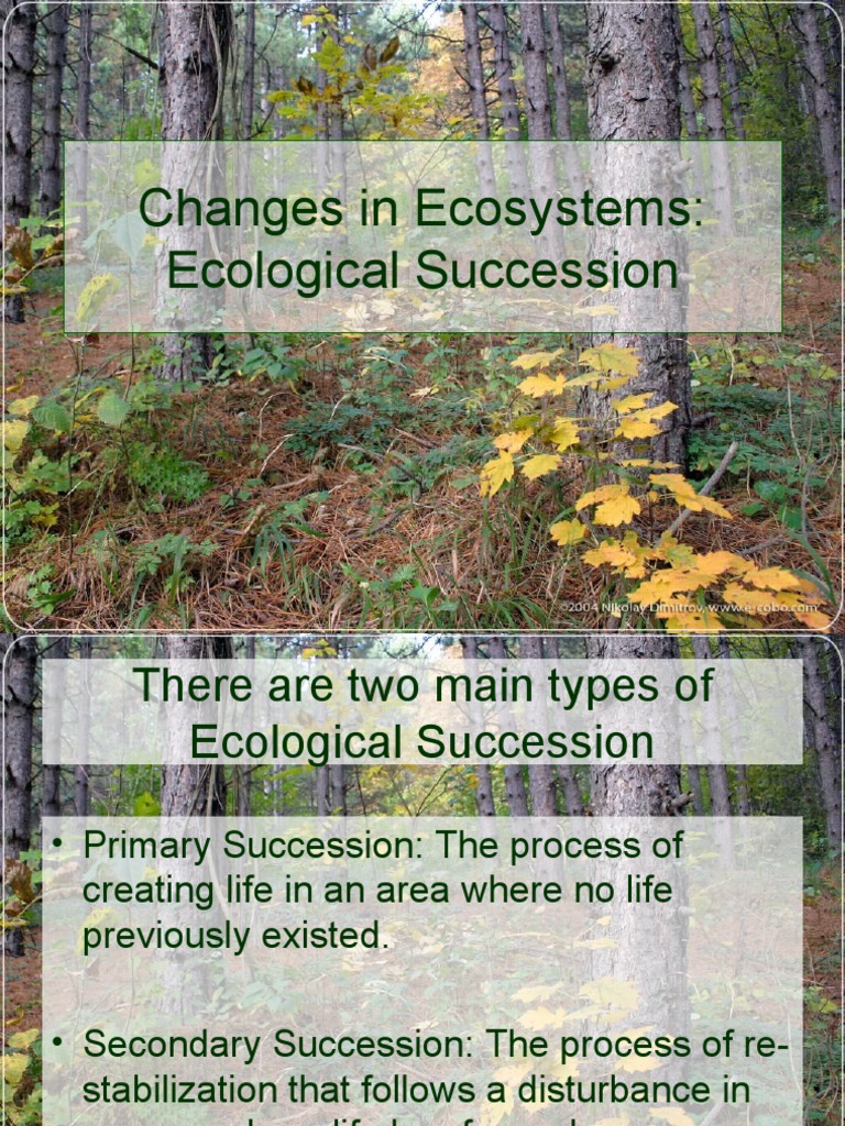 Types of Ecological Succession Explained | PDF | Disturbance (Ecology ...