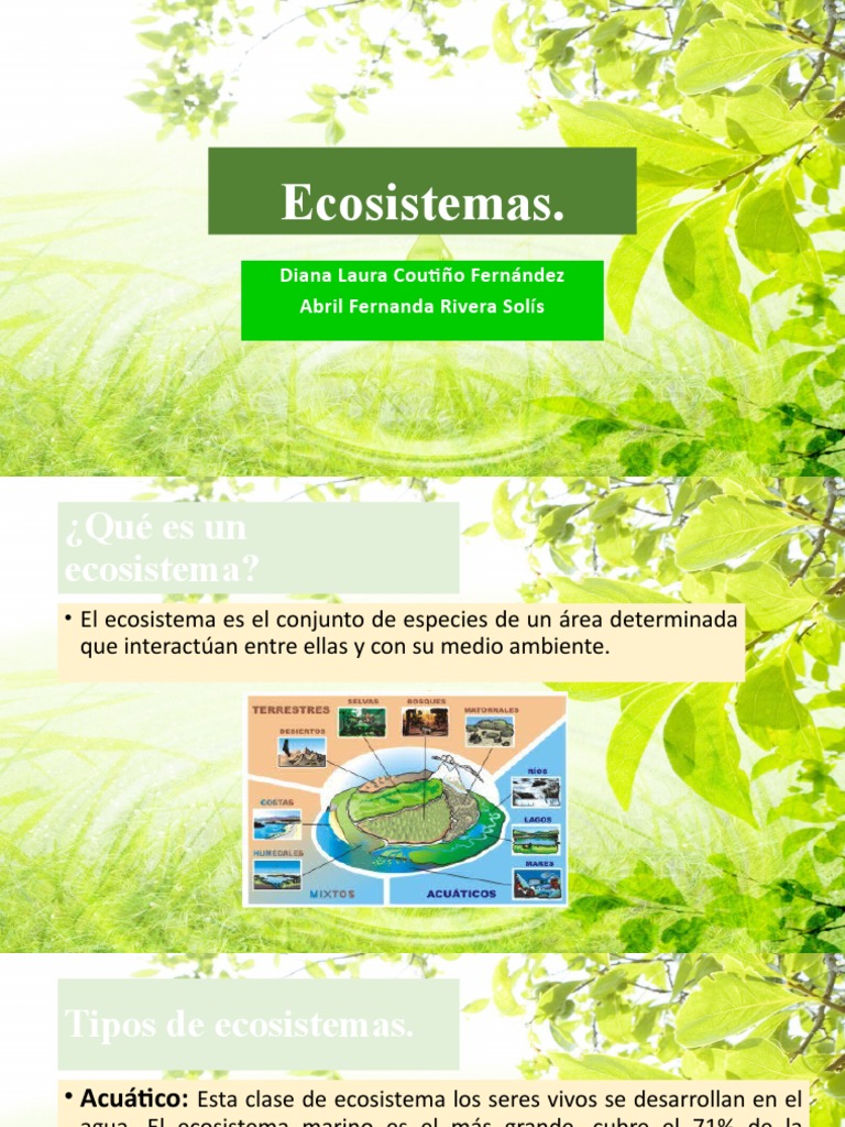 Ecosistema | PDF | Ecosistema | Pradera