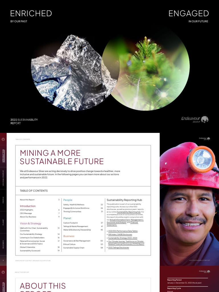 Sustainability Report Pdf Sustainability Mining