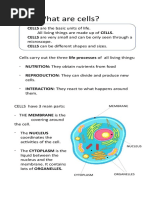Extra Questions, CELL, CLASS-9 | PDF | Cell (Biology) | Endoplasmic ...