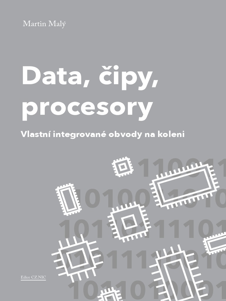 Data Cipy Procesory | PDF