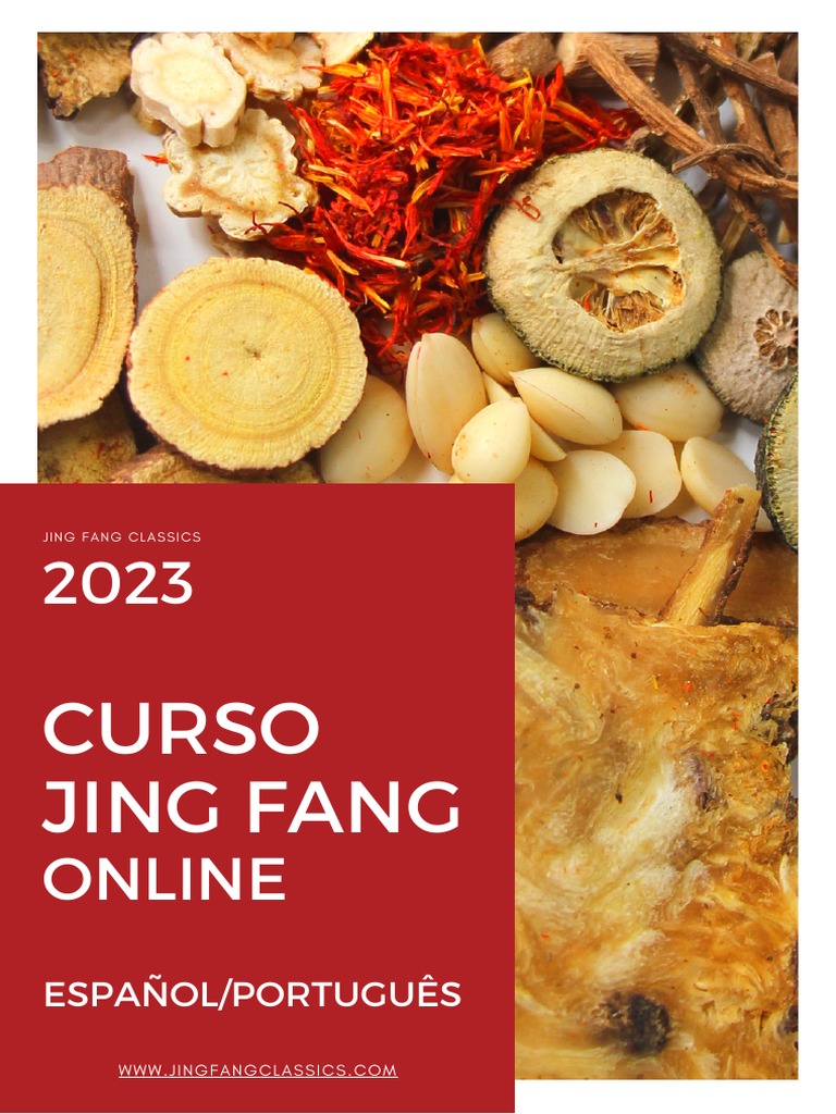 Jing Fang 2023 Online PT ES | PDF