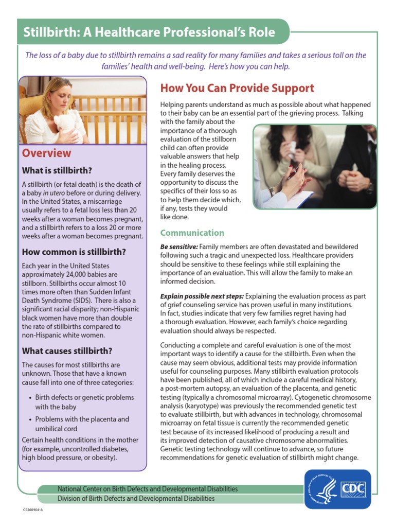 Stillbirth Fact Sheet | PDF | Pregnancy | Medicine