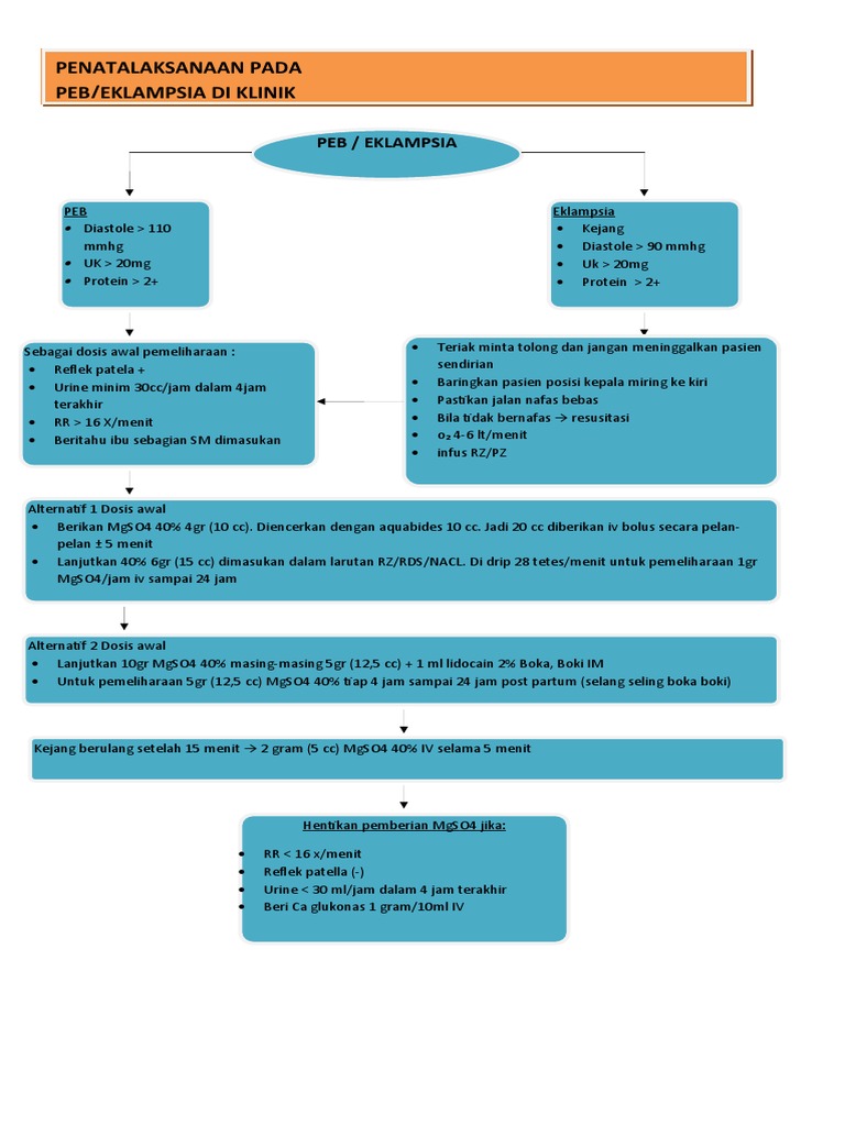 Penatalaksanaan Peb | PDF