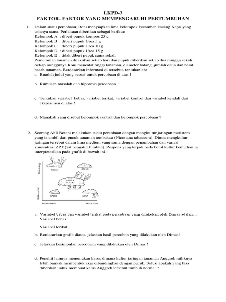 LKPD 3 Faktor Yang Mempengaruhi Pertumbuhan | PDF