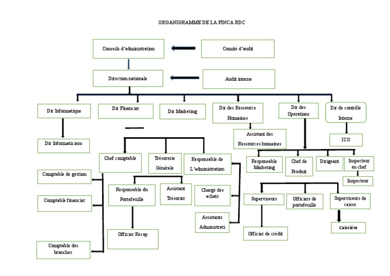 Organigramme de La Finca RDC | PDF | Comptabilité | Business