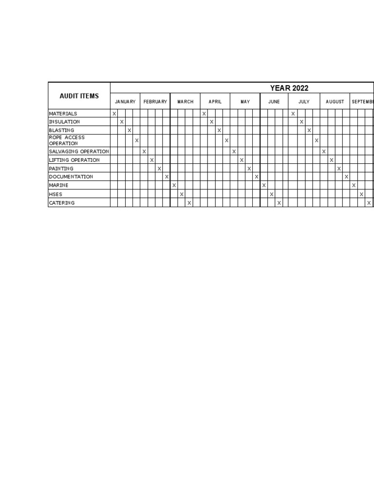Done Audit Doc1 | PDF
