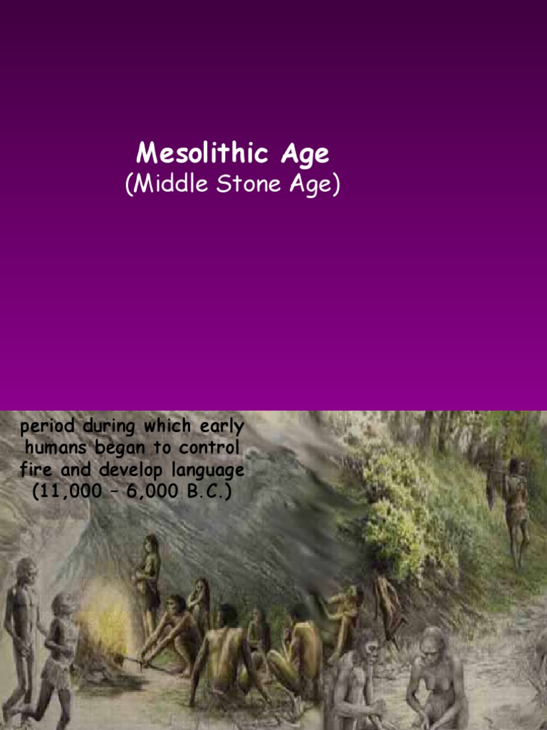 Middle Stone Age History