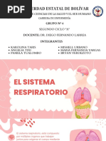 Anatomia de Via Aerea Inferior | PDF | Pulmón | Anatomía