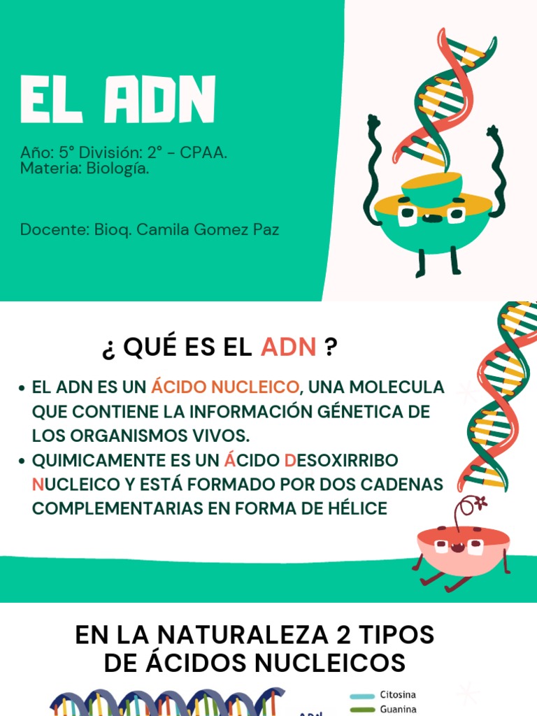Verde Blanco Ilustración Clase de Ciencias Presentación Educativa | PDF | Adn | Nucleótidos