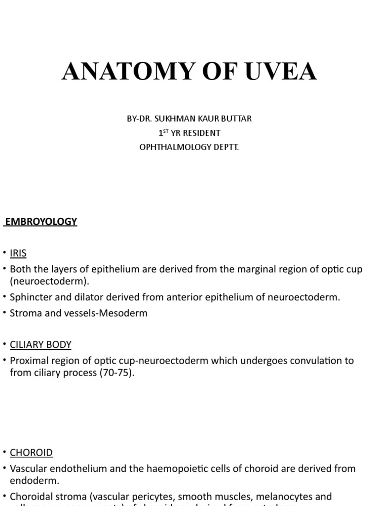 Anatomy of Uvea | PDF