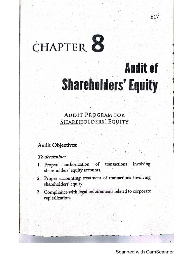 Audit of She | PDF