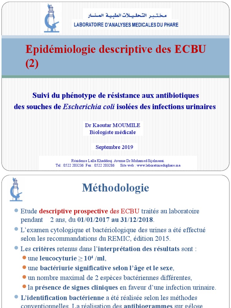 7 ECBU | PDF | Infection urinaire | Escherichia coli