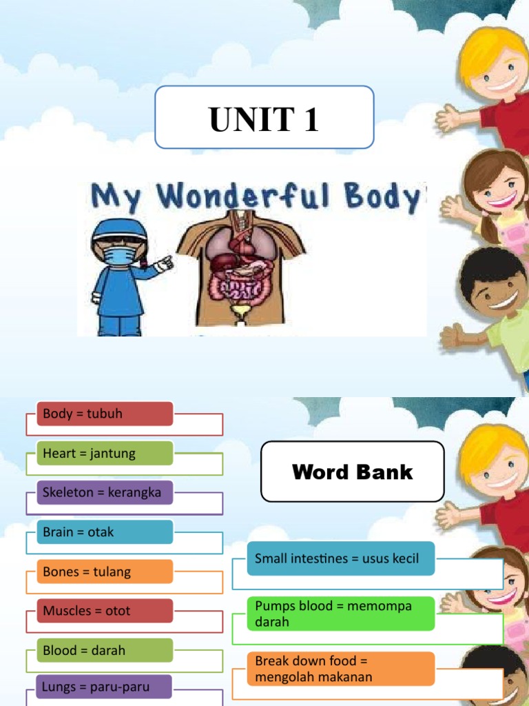 Unit 1 My Wonderful Body | PDF
