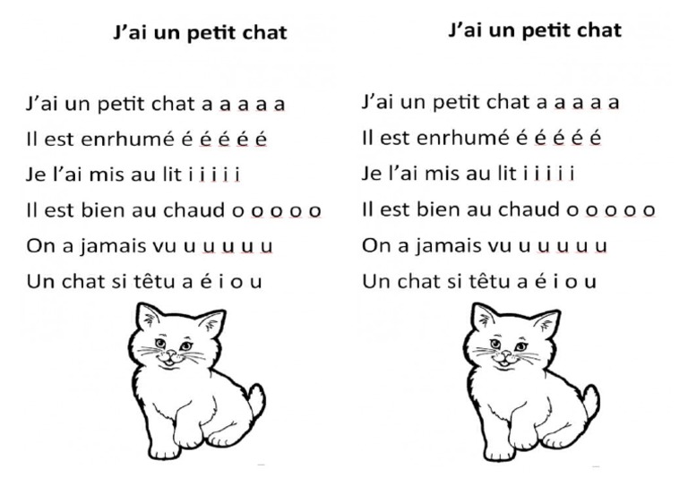 Comptine J'ai Un Petit Chat A É I o U | PDF