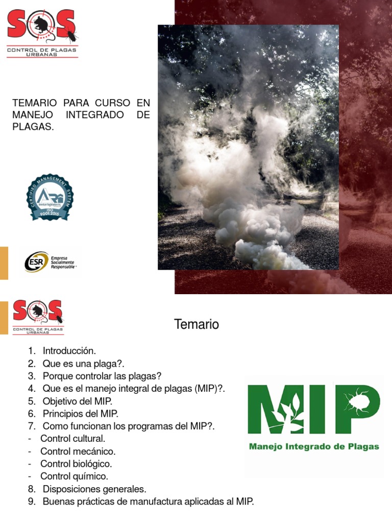 Temario Mip | PDF