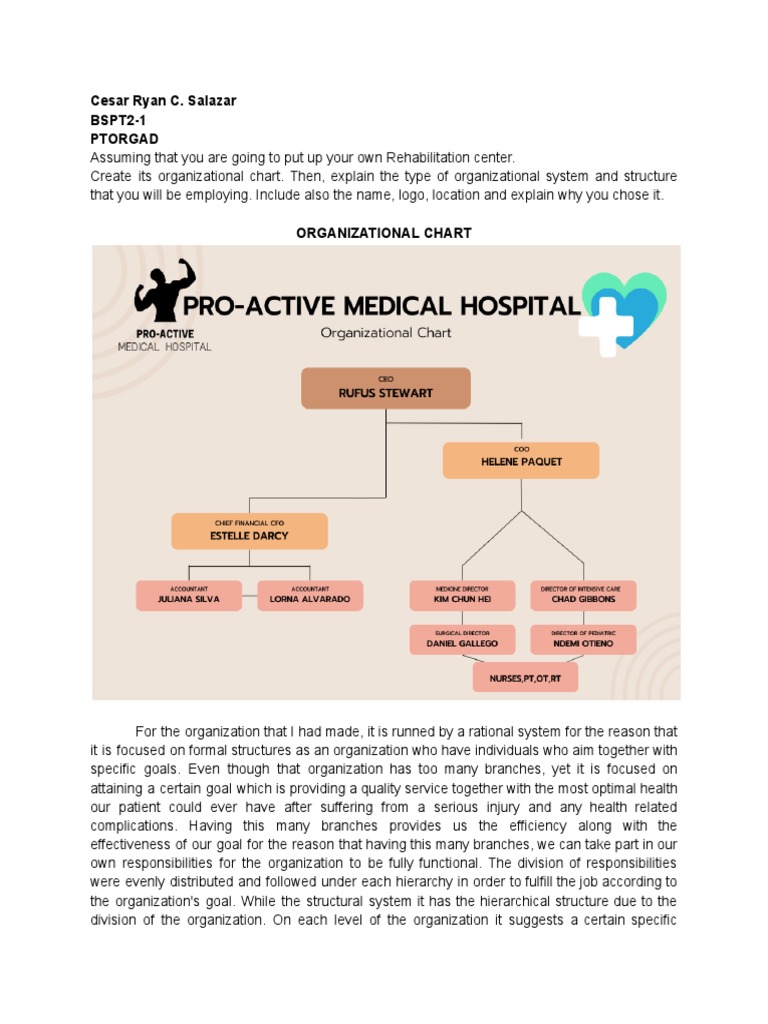 Organizational Chart | PDF | Reason | Health Care