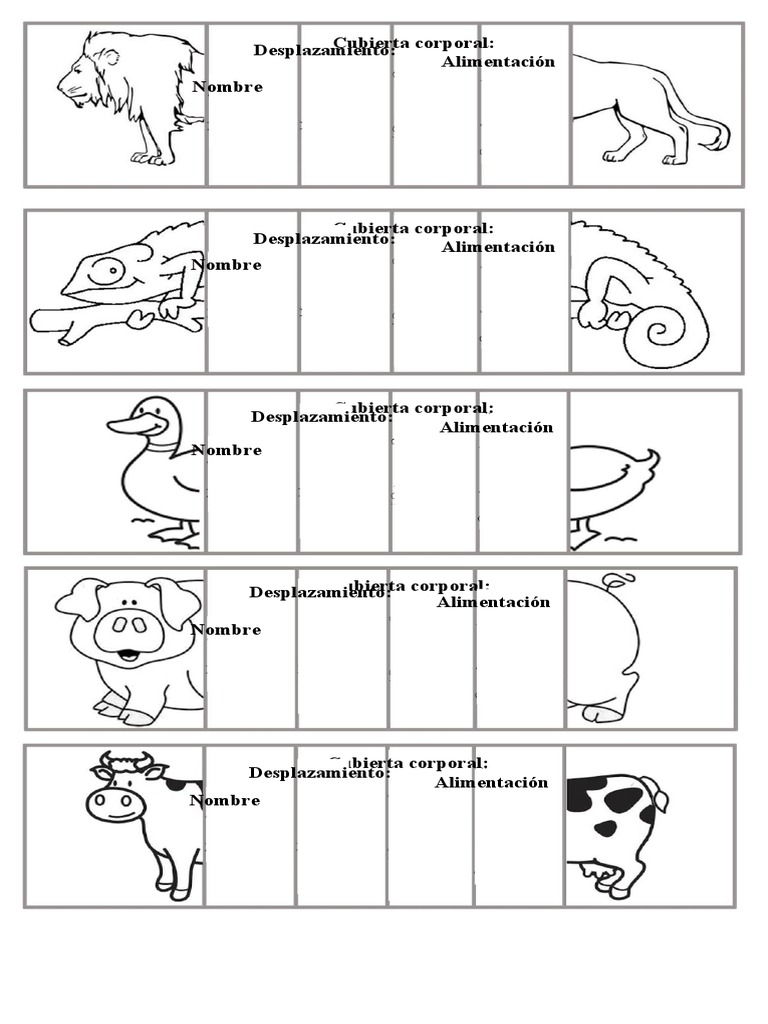 Actividad - 1. animales acordeón | PDF