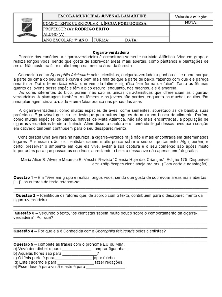 Atividade 7ano 2023 | PDF | Bico | Aves