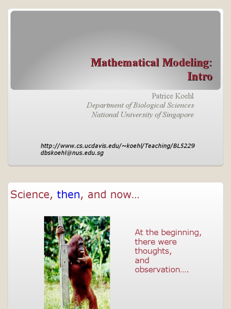BL5229 Intro | PDF | Mathematical Model | Computer Simulation