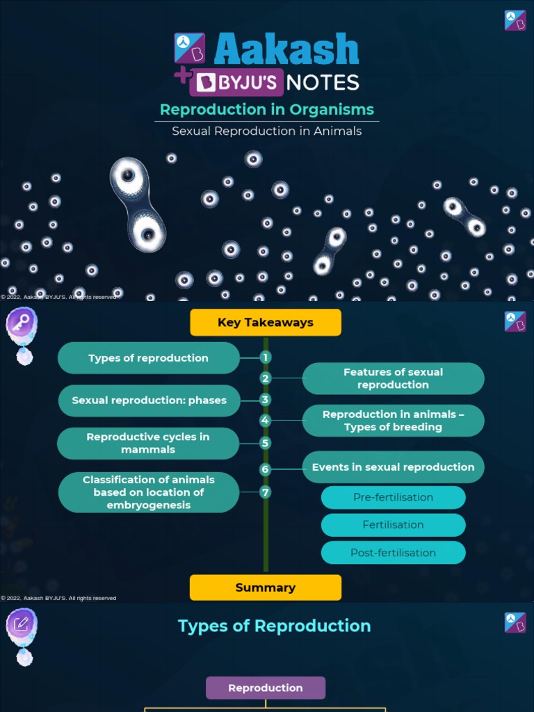 Sexual Reproduction in Animals Explained | PDF | Sexual Reproduction ...