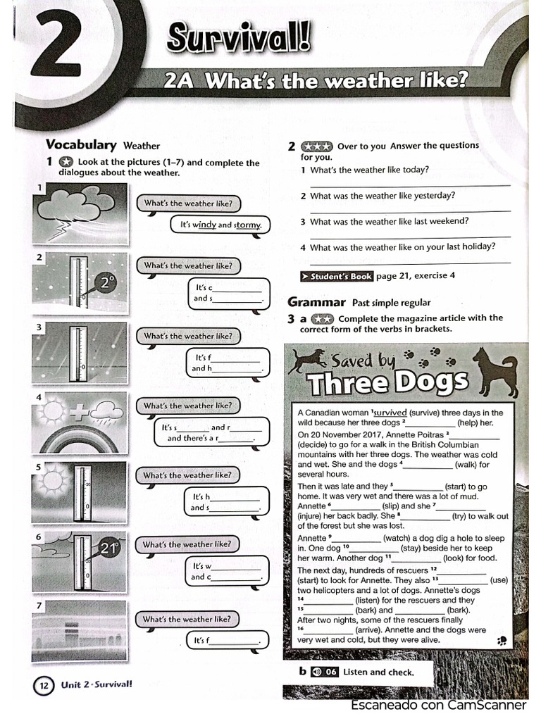 Material Complementario Unit 2 | PDF