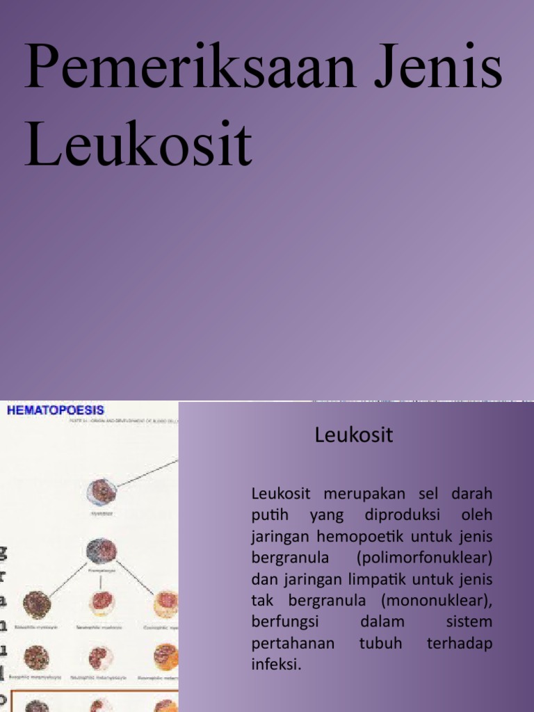 Pemeriksaan Jenis Leukosit | PDF | Sains & Matematika