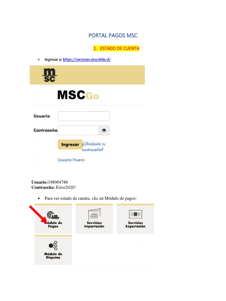 Portal Pagos MSC | PDF