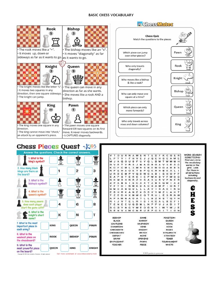 Basic Chess Vocabulary | PDF