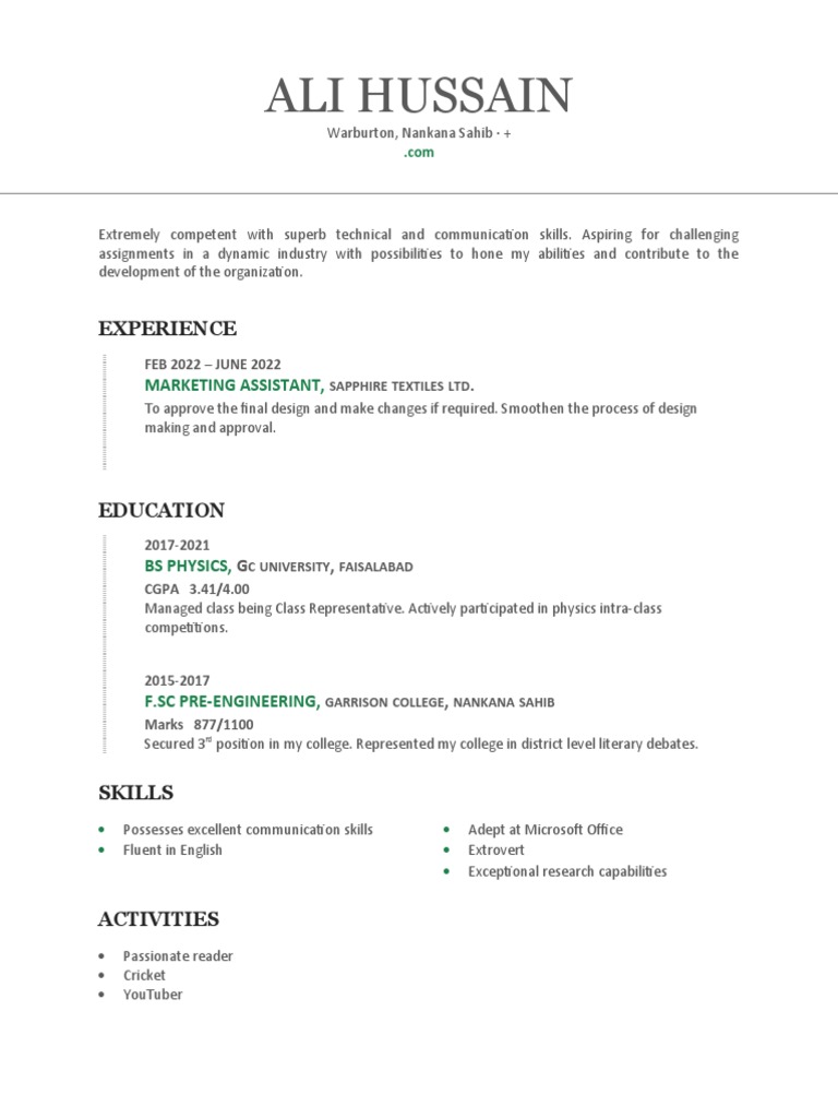 Ali Hussain - CV | PDF