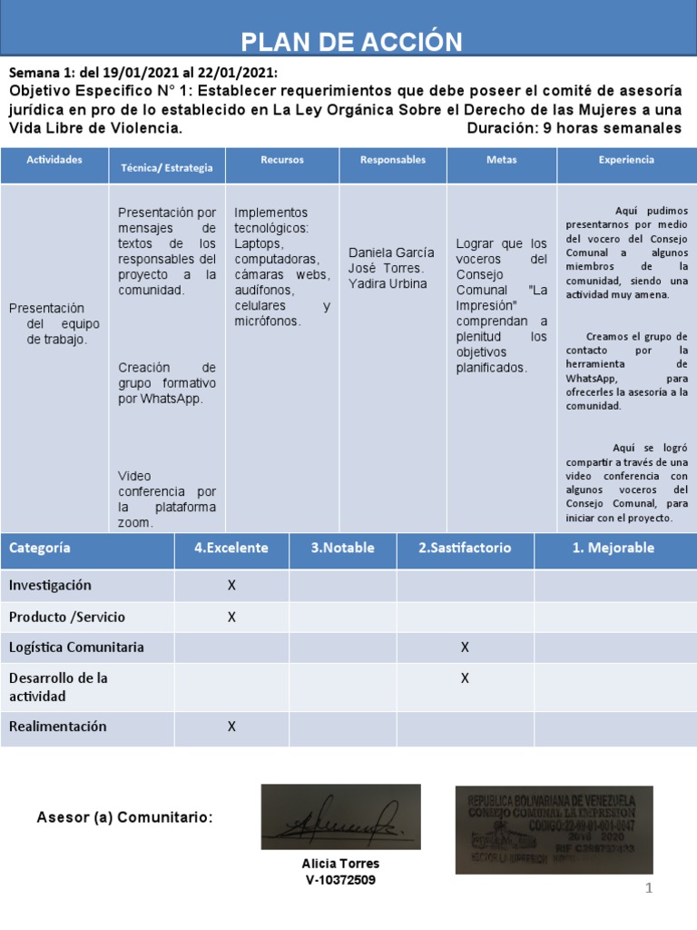 FormatoPlan de Accion | PDF