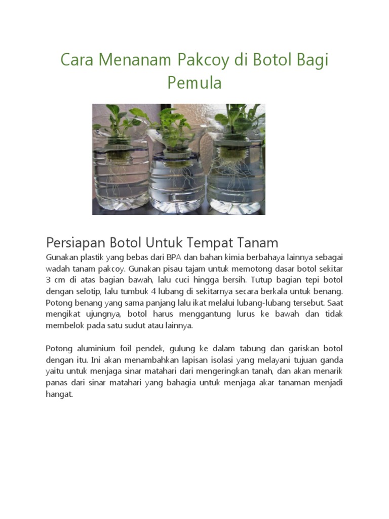Cara Menanam Pakcoy Di Botol Bagi Pemula | PDF