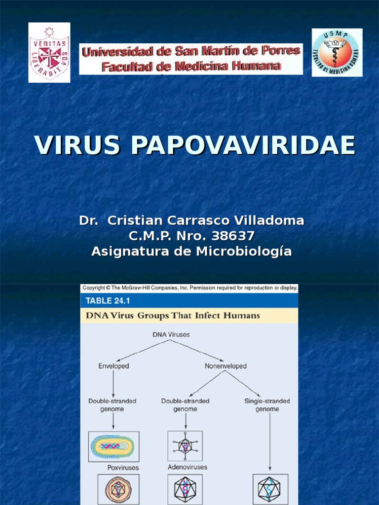 Características y Patologías de Papovavirus | PDF | Virus ...