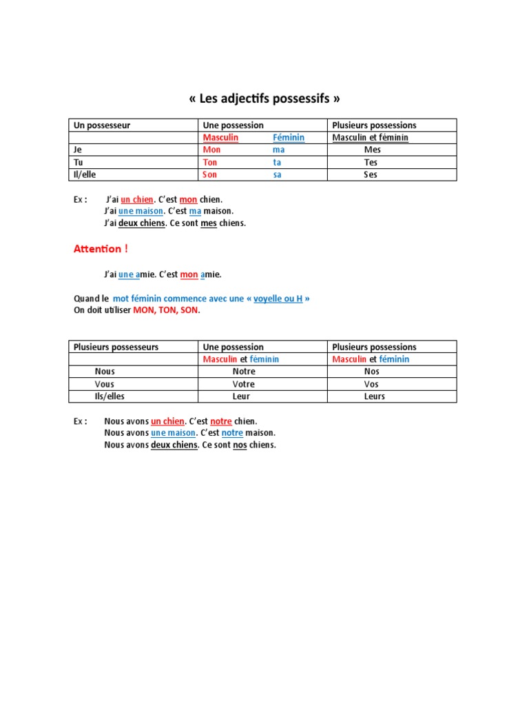 Les Adjectifs Et Pronoms Possessifs | PDF | Genre grammatical | Langues