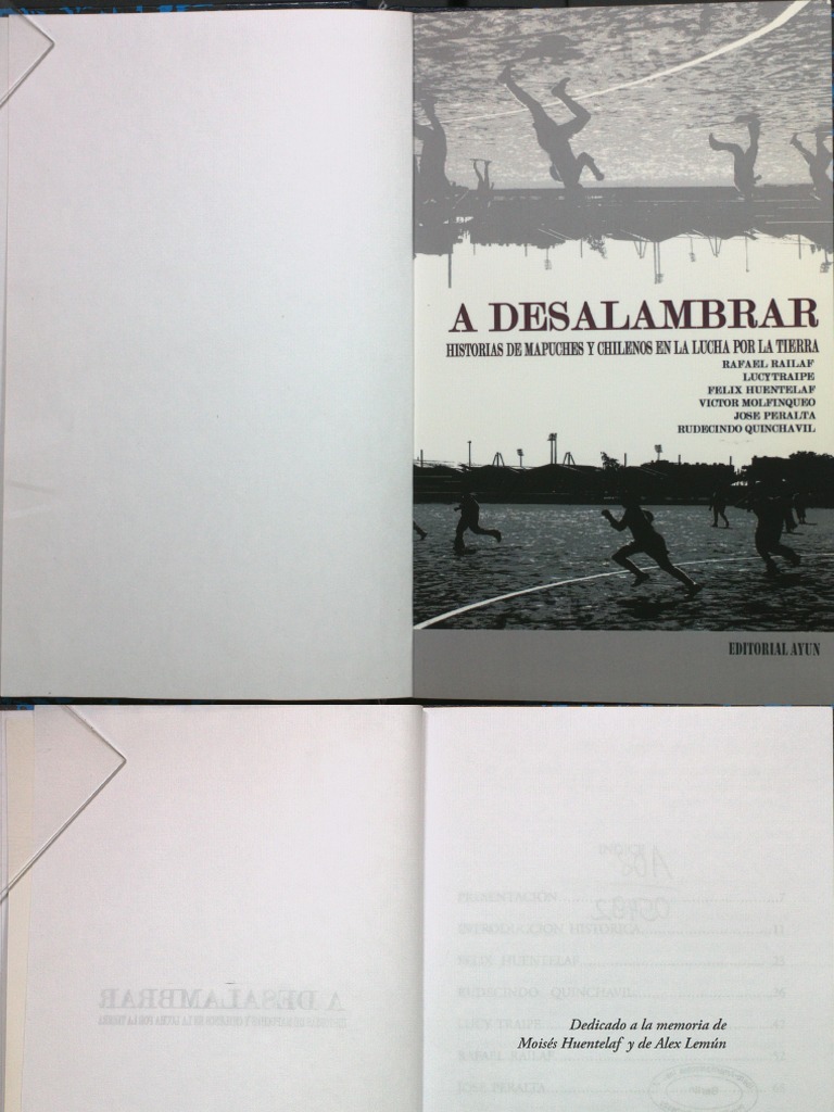 A Desalambrar Historias de Mapuches y Chilenos en La Lucha Por La ...