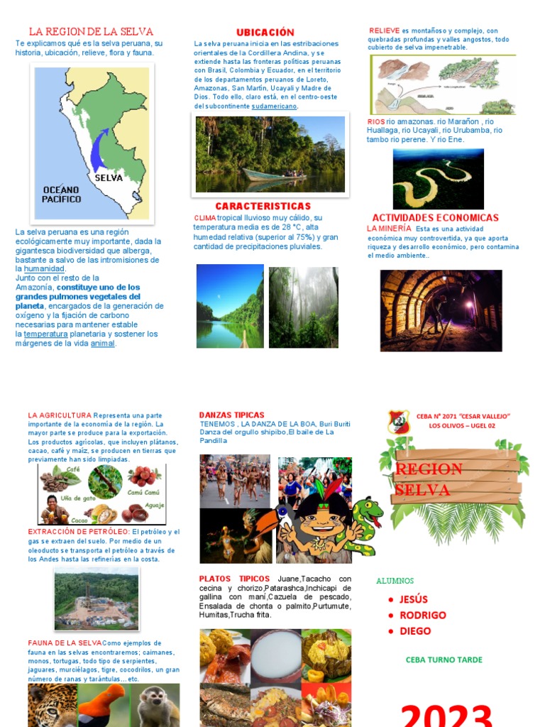 Triptico Selva | PDF | Perú | Selva amazónica