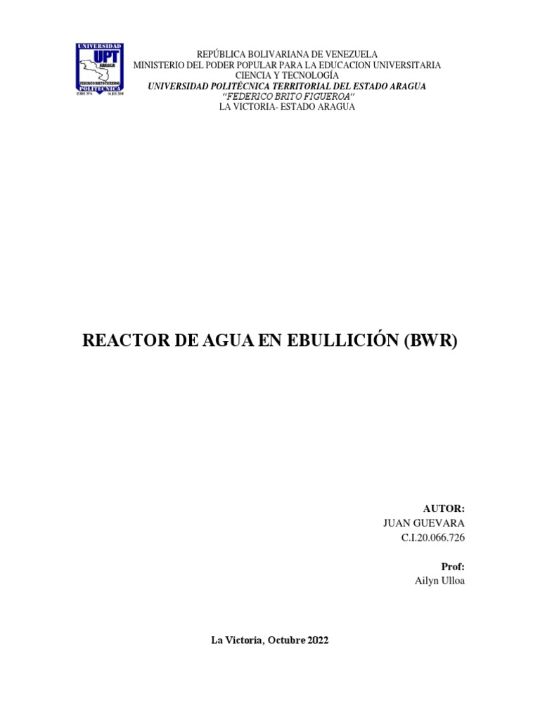 REACTOR DE AGUA EN EBULLICIÓN (BWR) JUAN GUEVARA | PDF | Reactor de agua a presión | Ciencias ...