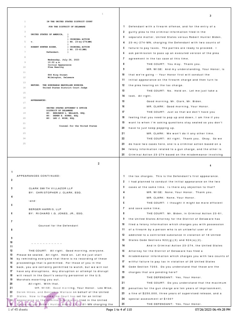 Hunter Biden Hearing Transcript | PDF