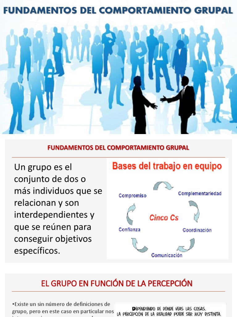 Fundamentos Del Comportamiento de Grupo | PDF | Motivación | Motivacional
