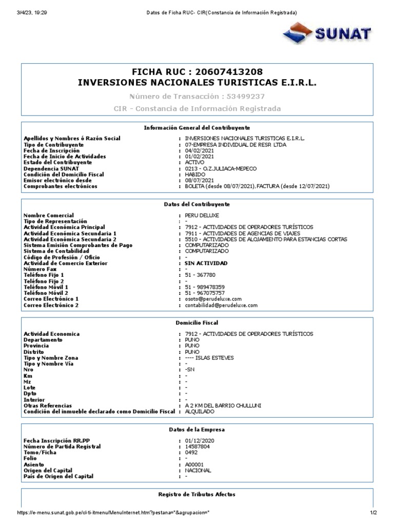 Ficha Ruc - Inturis | PDF | Economias | Industrias de servicio