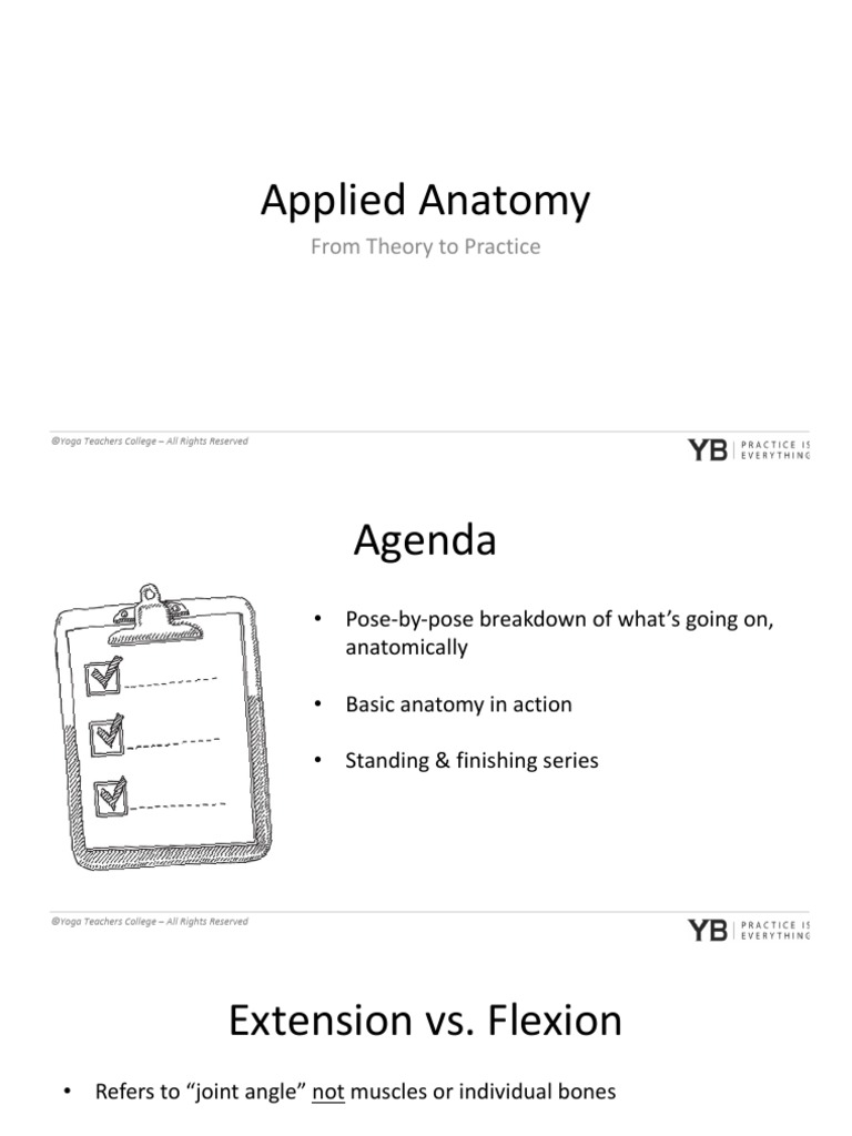 Applied Anatomy | PDF | Anatomical Terms Of Motion | Musculoskeletal System