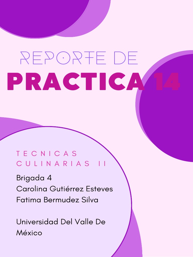 Reporte Practica | PDF