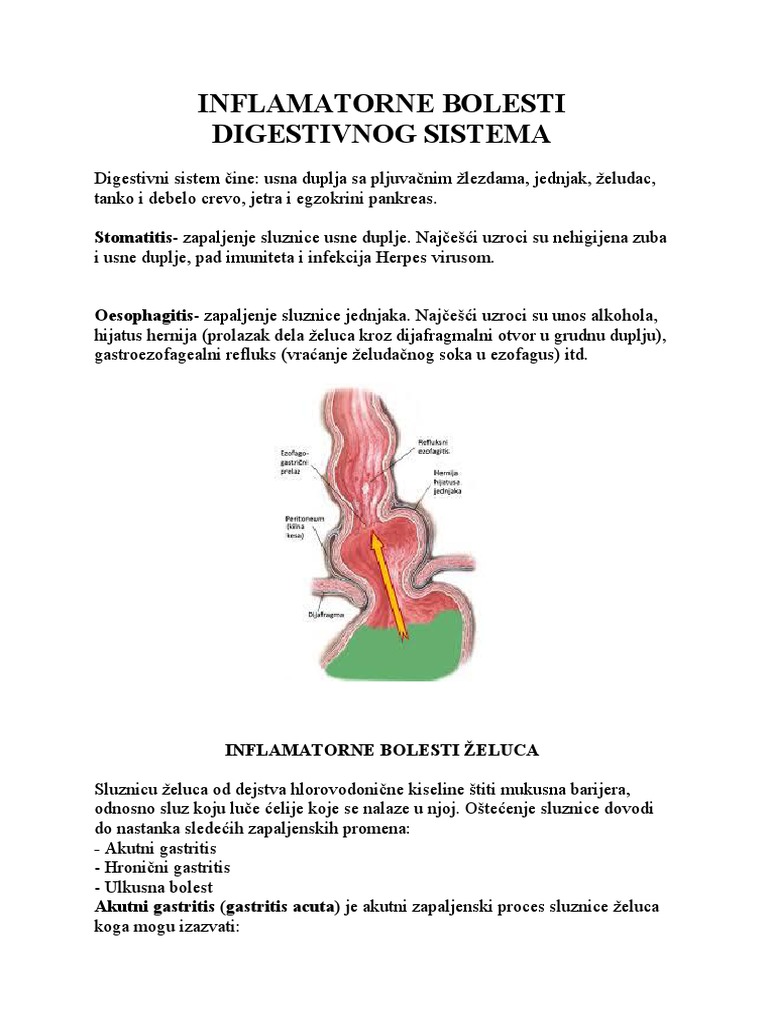 Inflamatorne Bolesti Digestivnog Sistema | PDF