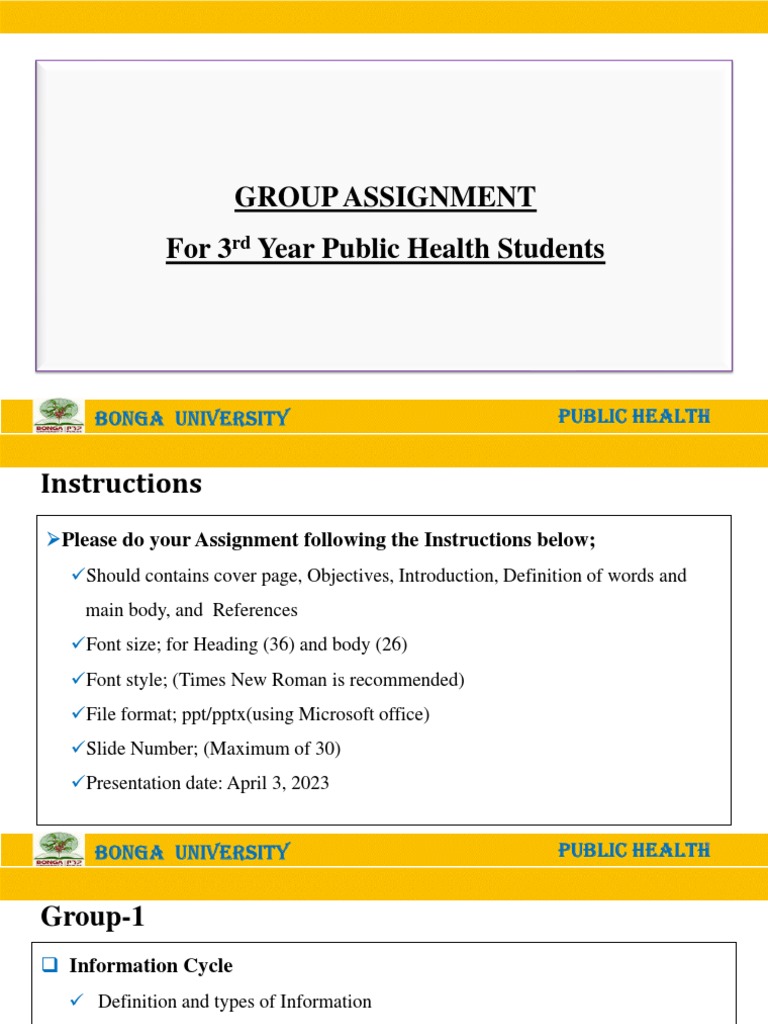 Group Assignment | PDF