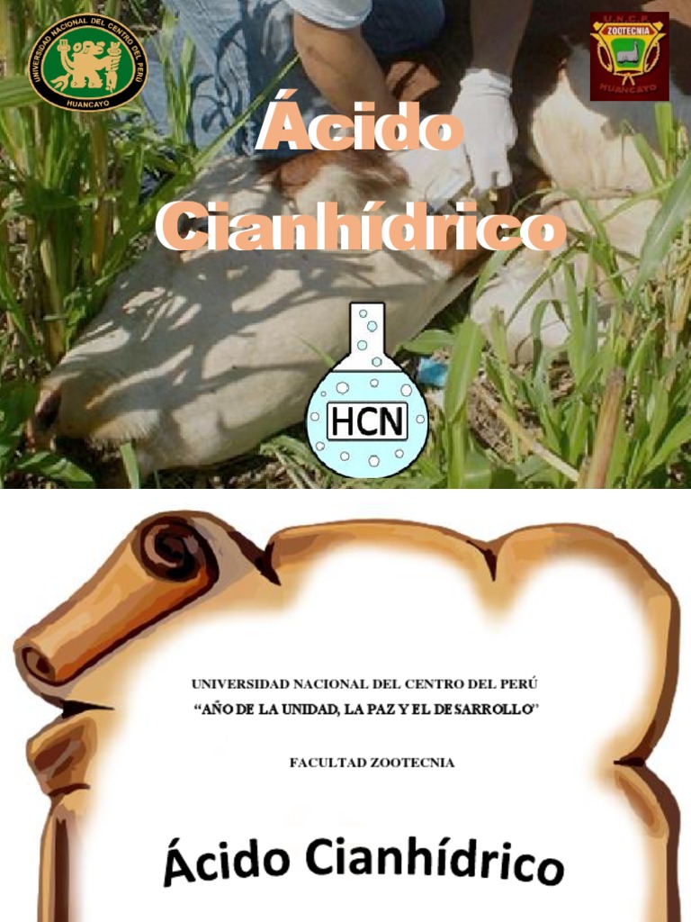 Informe - Acido Cianhidrico - Olivares Balbin Jennifer Adelaida | PDF