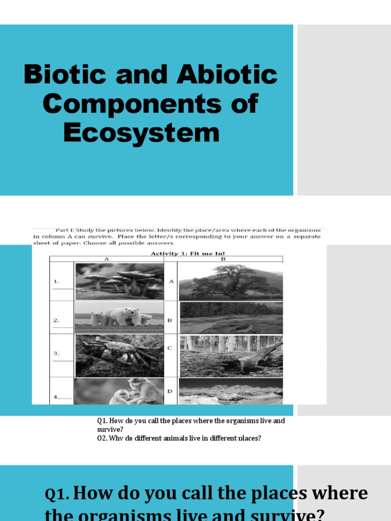 Biotic and Abiotic Components Explained | PDF