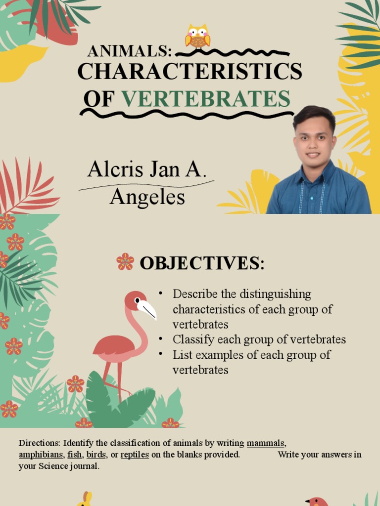 COT Science 6 Quarter 2 - Animals - Characteristics of Vertebrates ...