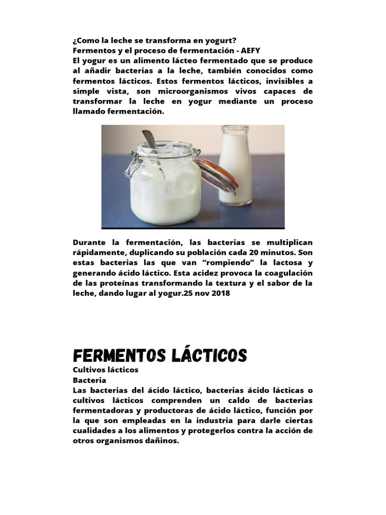 Fermentos Lácticos | PDF