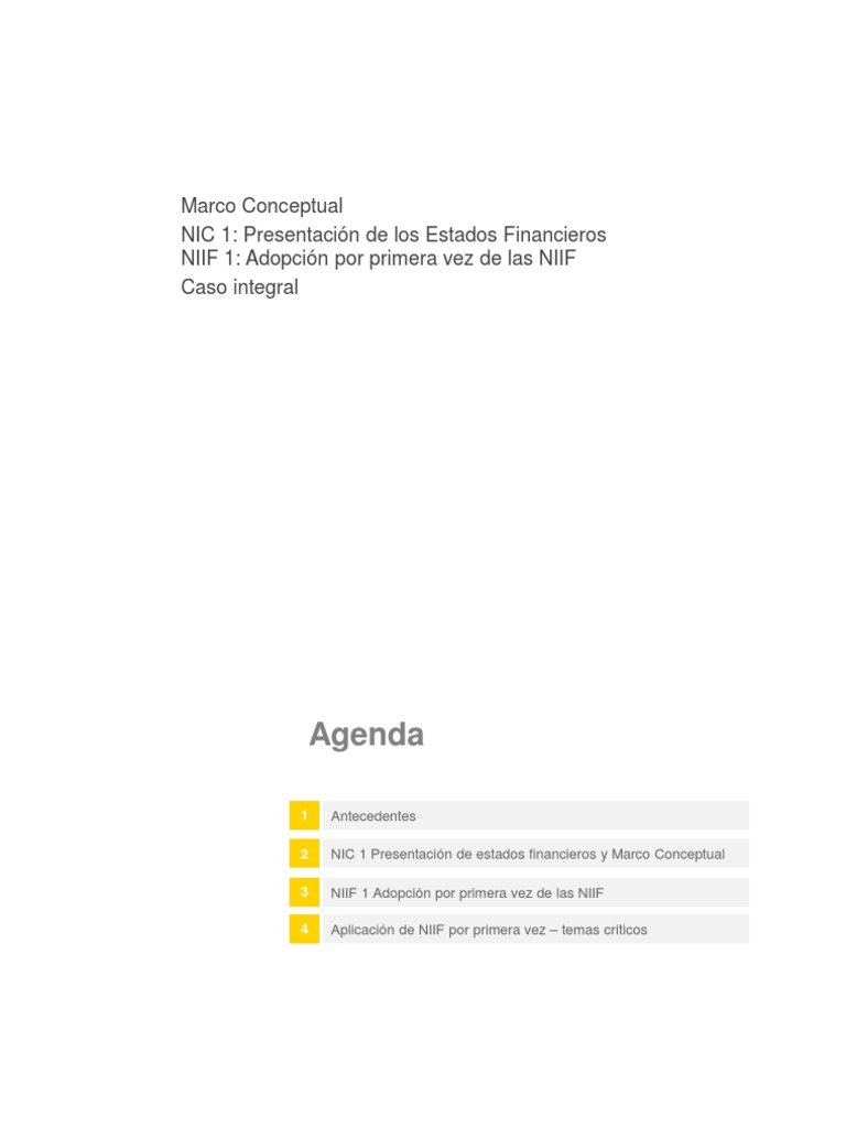 Nic 1 y Niif 1 (Para Alumnos) | PDF | Estado financiero | normas ...